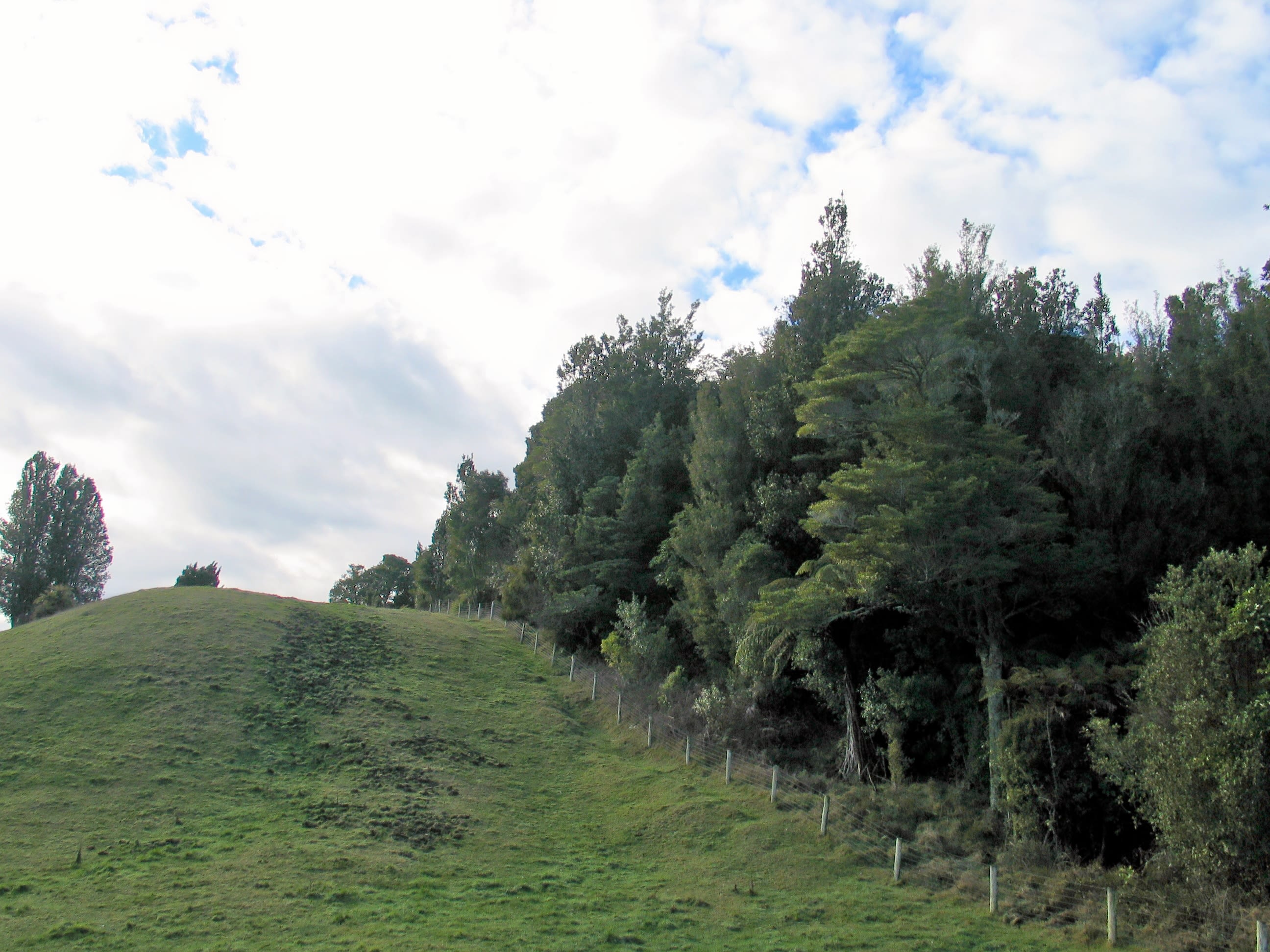 Manawahe Kokako Trust – Manawahe Eco Trust